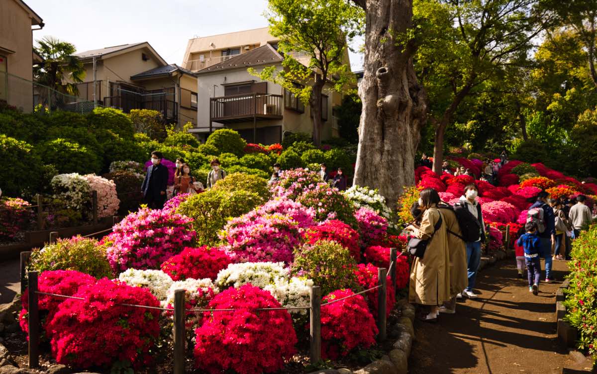 Bunkyo Tokyo one of the best tourist spots to visit