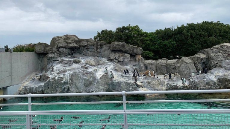 Edogawa Tokyo is one of the most visited wards