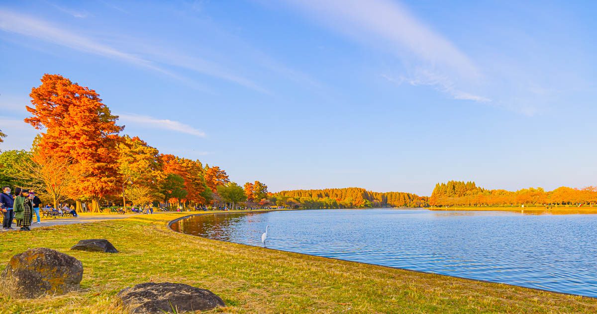 Mizumoto Park, the biggest park in Tokyo's 23 Special Wards