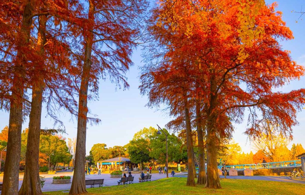 Mizumoto Park, the biggest park in Tokyo's 23 Special Wards