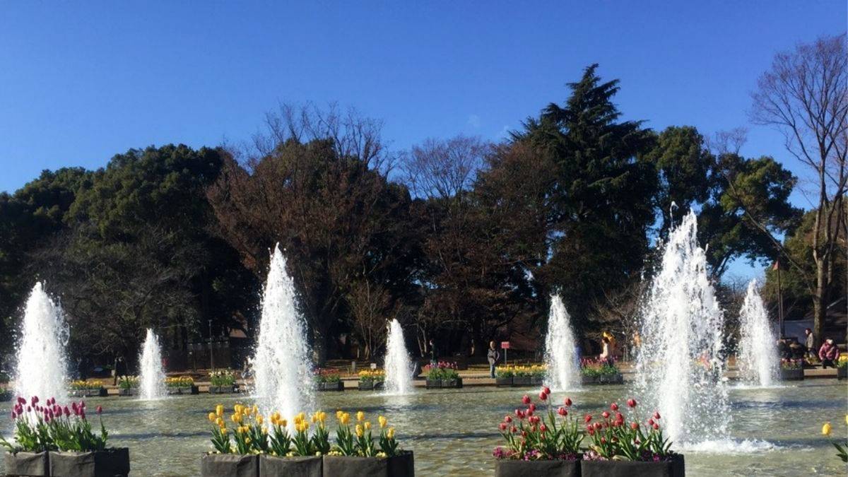 Taito Tokyo is full of tourist spots to explore