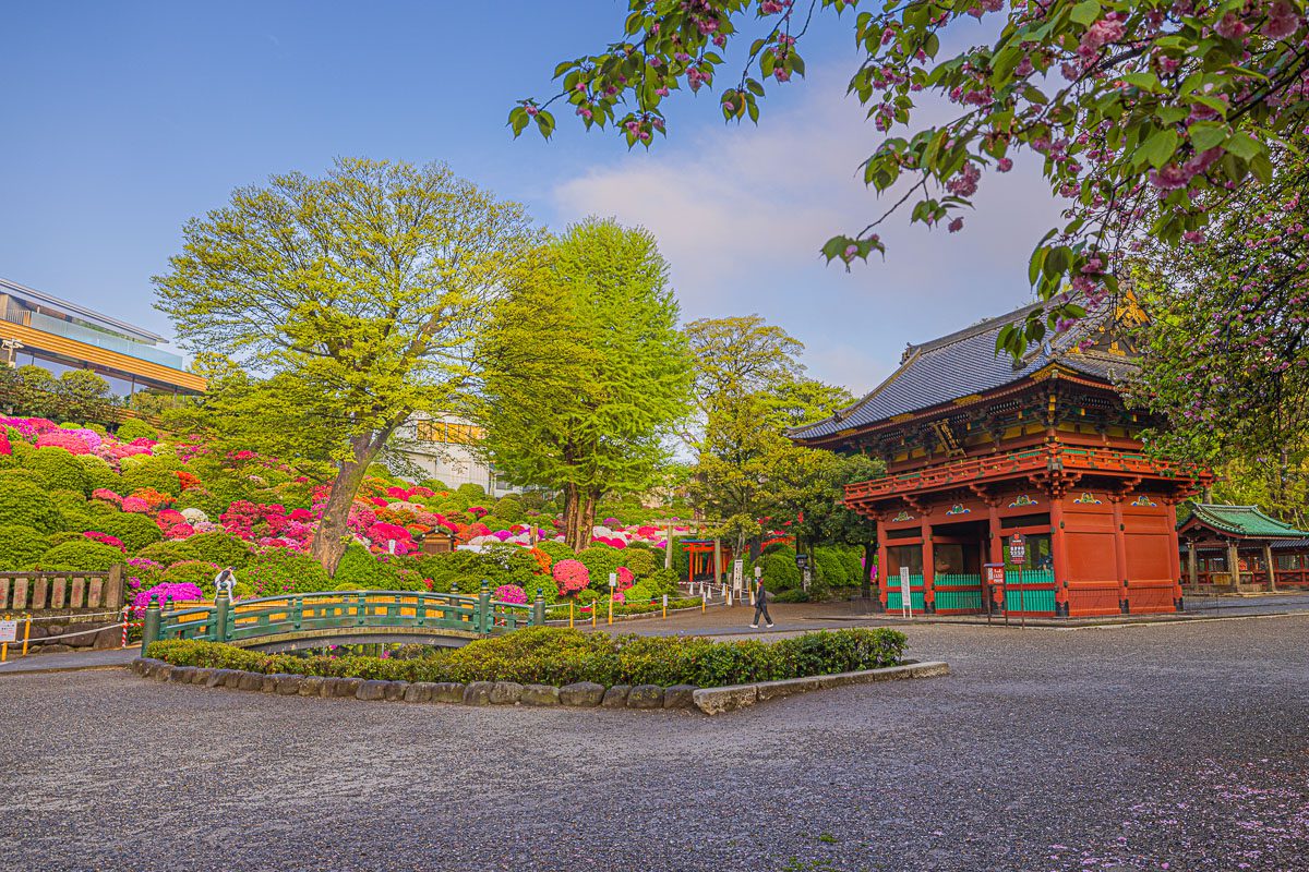 Nezu Shrine, the most beautiful shrine in Tokyo