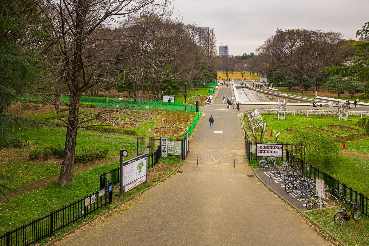 Yoyogi Park is the most popular park near Meiji Shrine