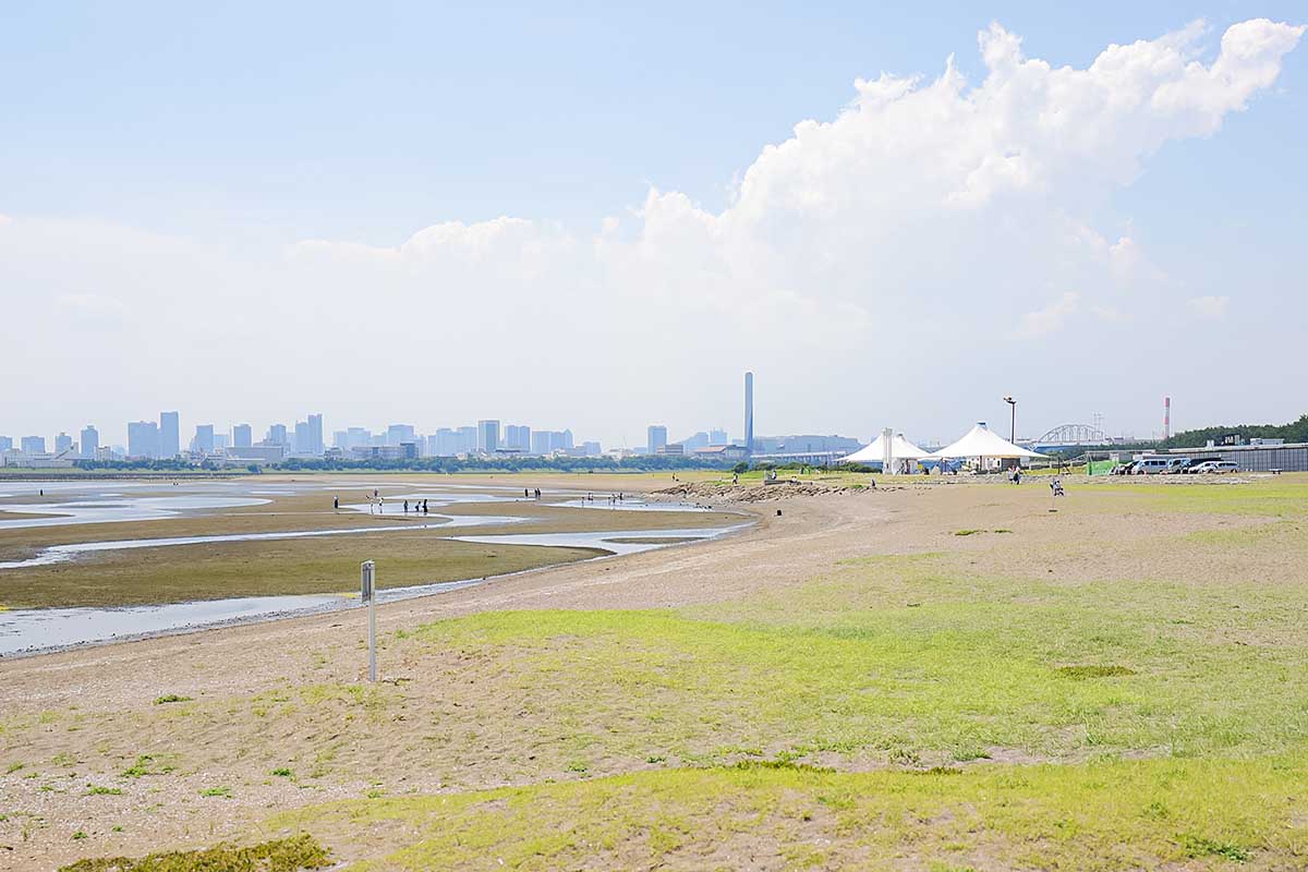 Kasai Rinkai Park is the second biggest park in Tokyo