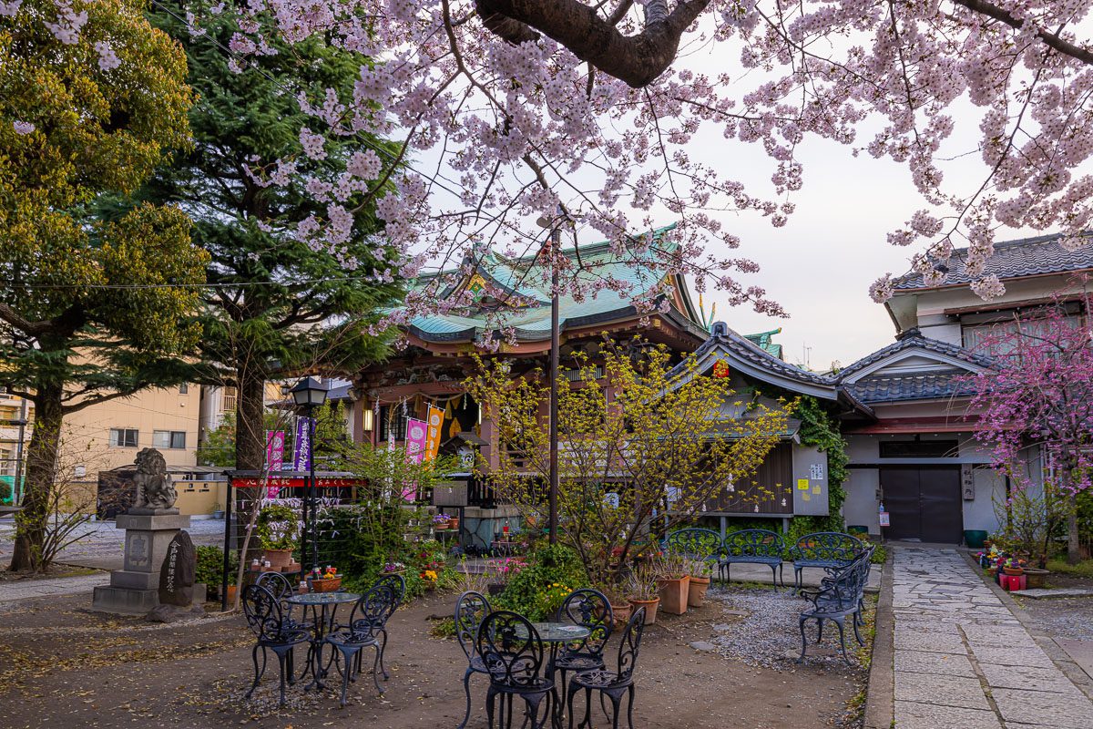 Imado shrine is famous for Maneki Neko & matchmaking