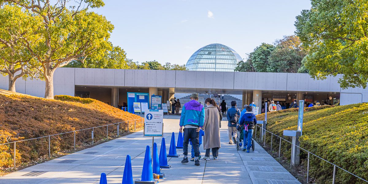 Tokyo Sea Life Park is the best with Cheaper admission Fee
