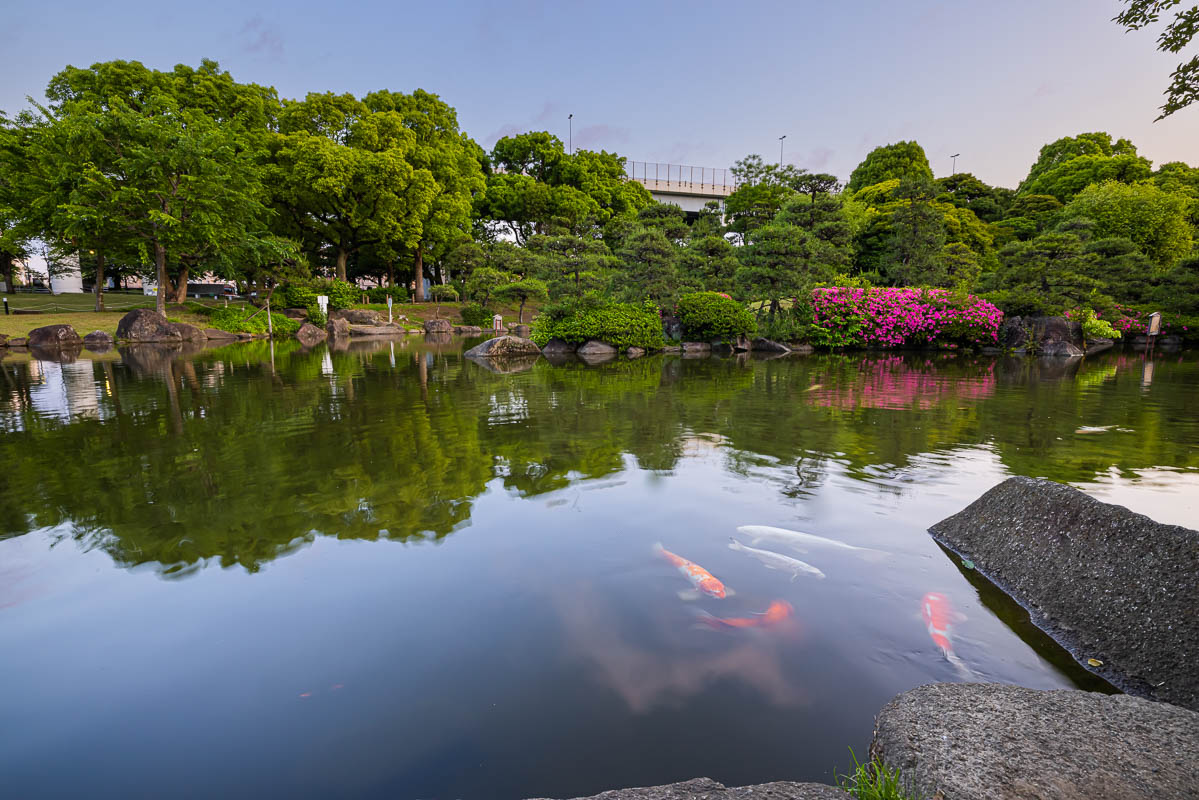 Sumida Park is the center of many famous spots