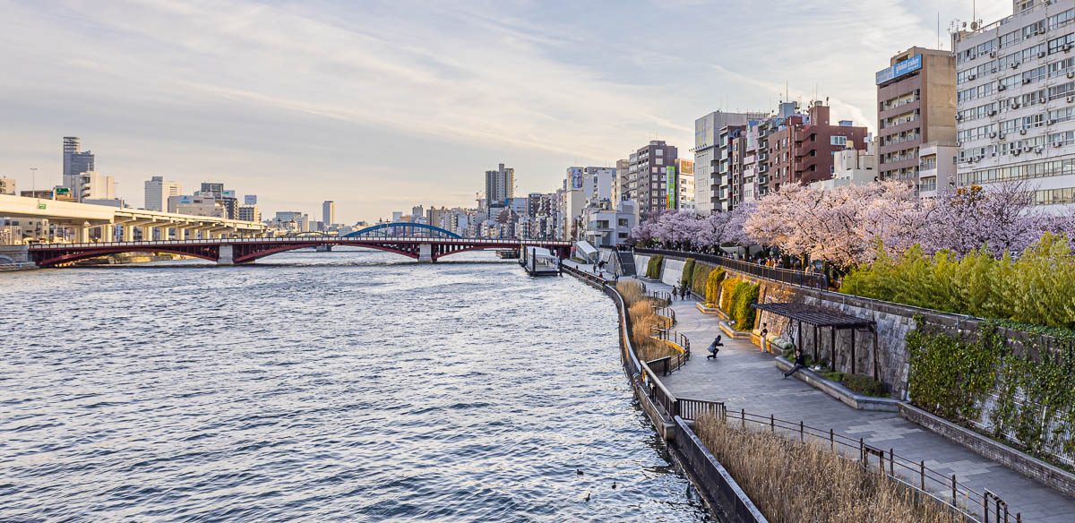 Sumida Park is the center of many famous spots