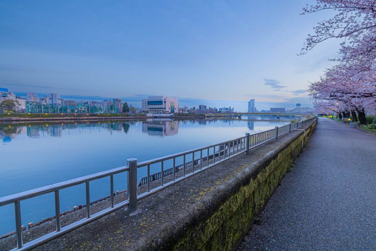 Sumida Park is the center of many famous spots