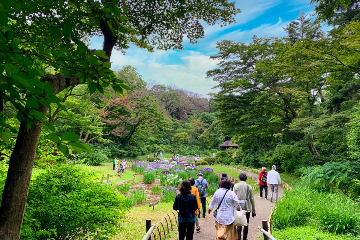 Meiji Shrine Inner Garden is a hidden paradise
