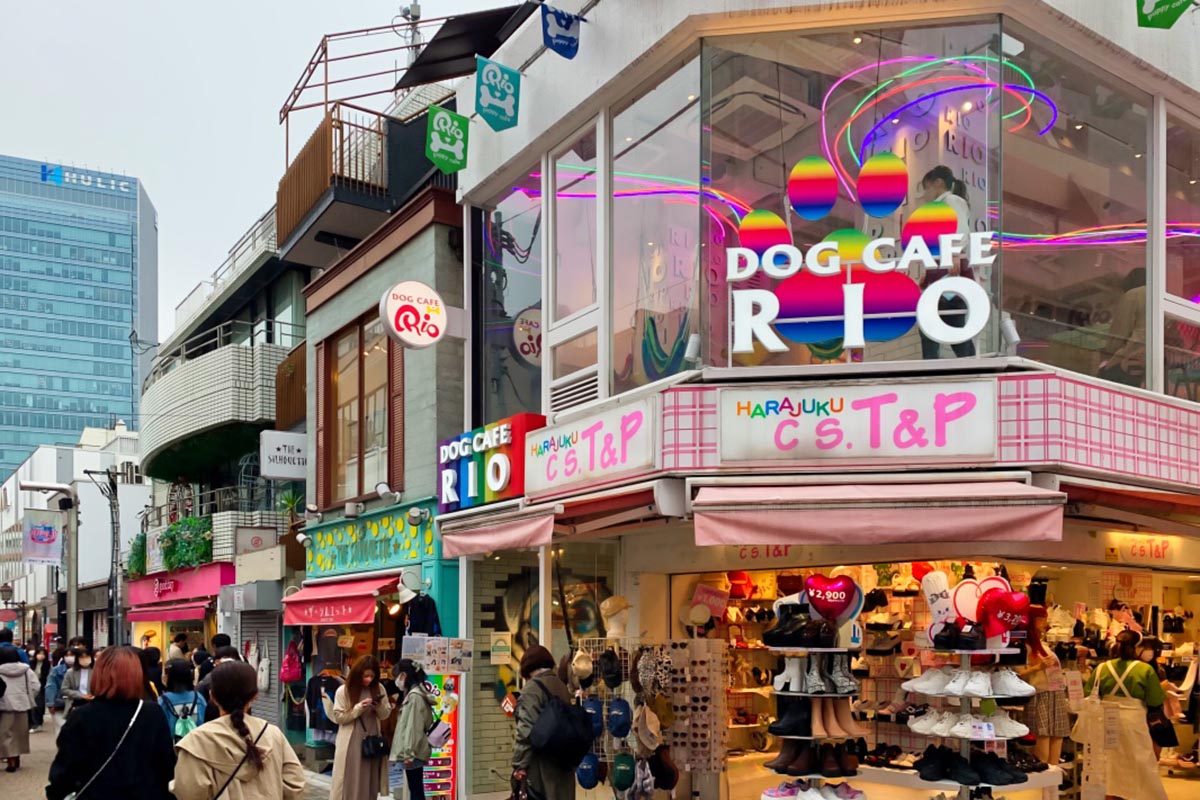 Downtown Tokyo, VISIT 7 MOST VIBRANT districts To See Japan