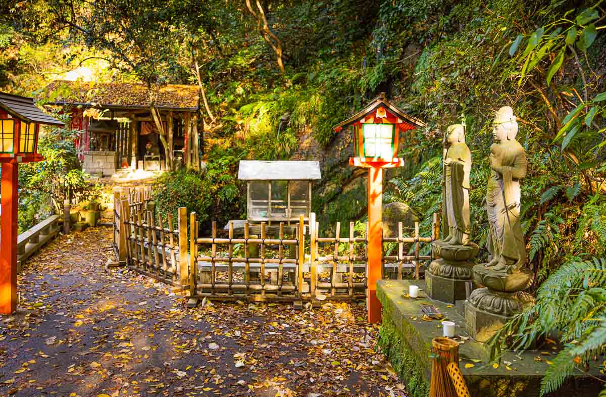 Todoroki Valley is the only Hiking spot in Tokyo