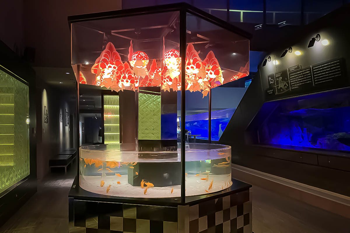 Sumida Aquarium - a place to visit in Tokyo