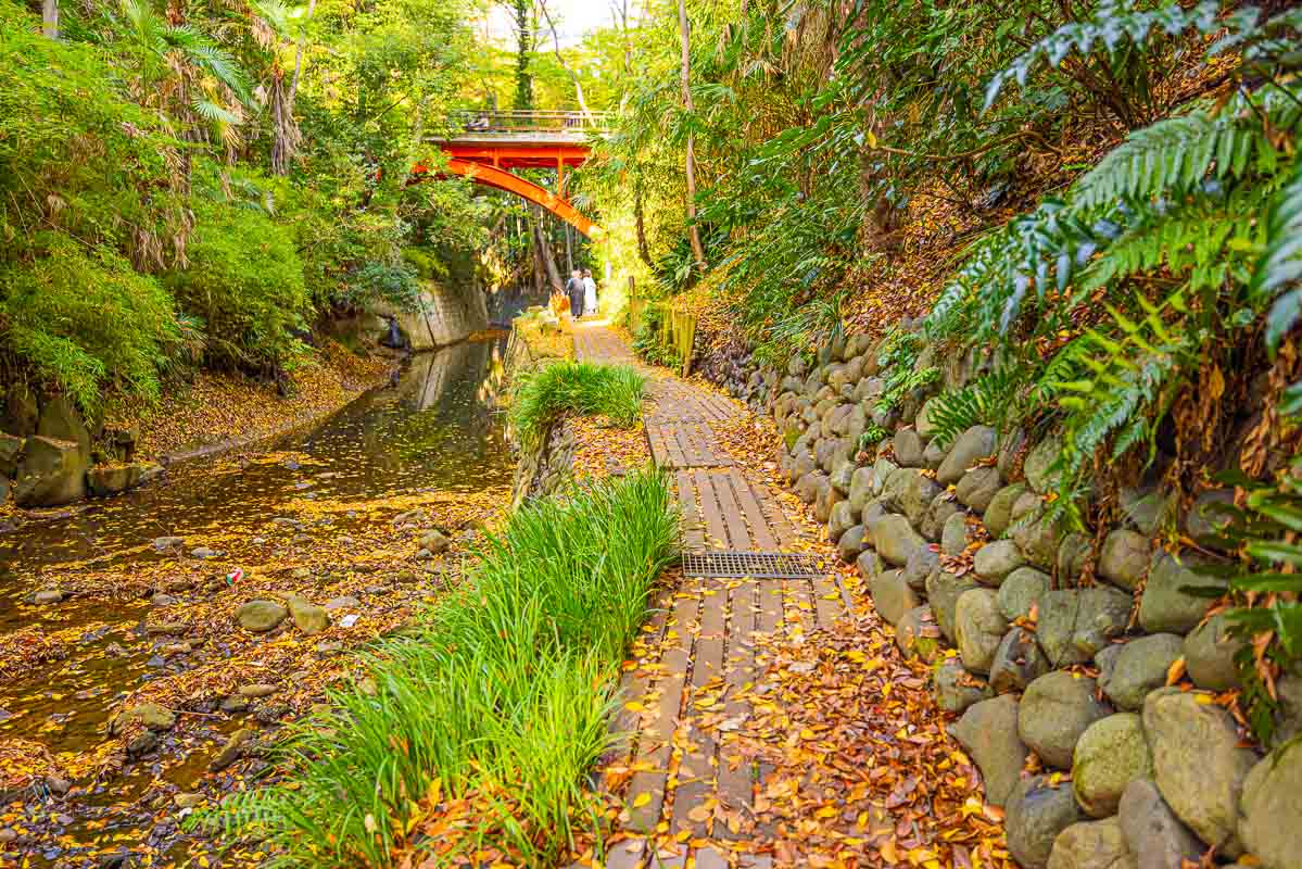 Todoroki Valley is the only Hiking spot in Tokyo