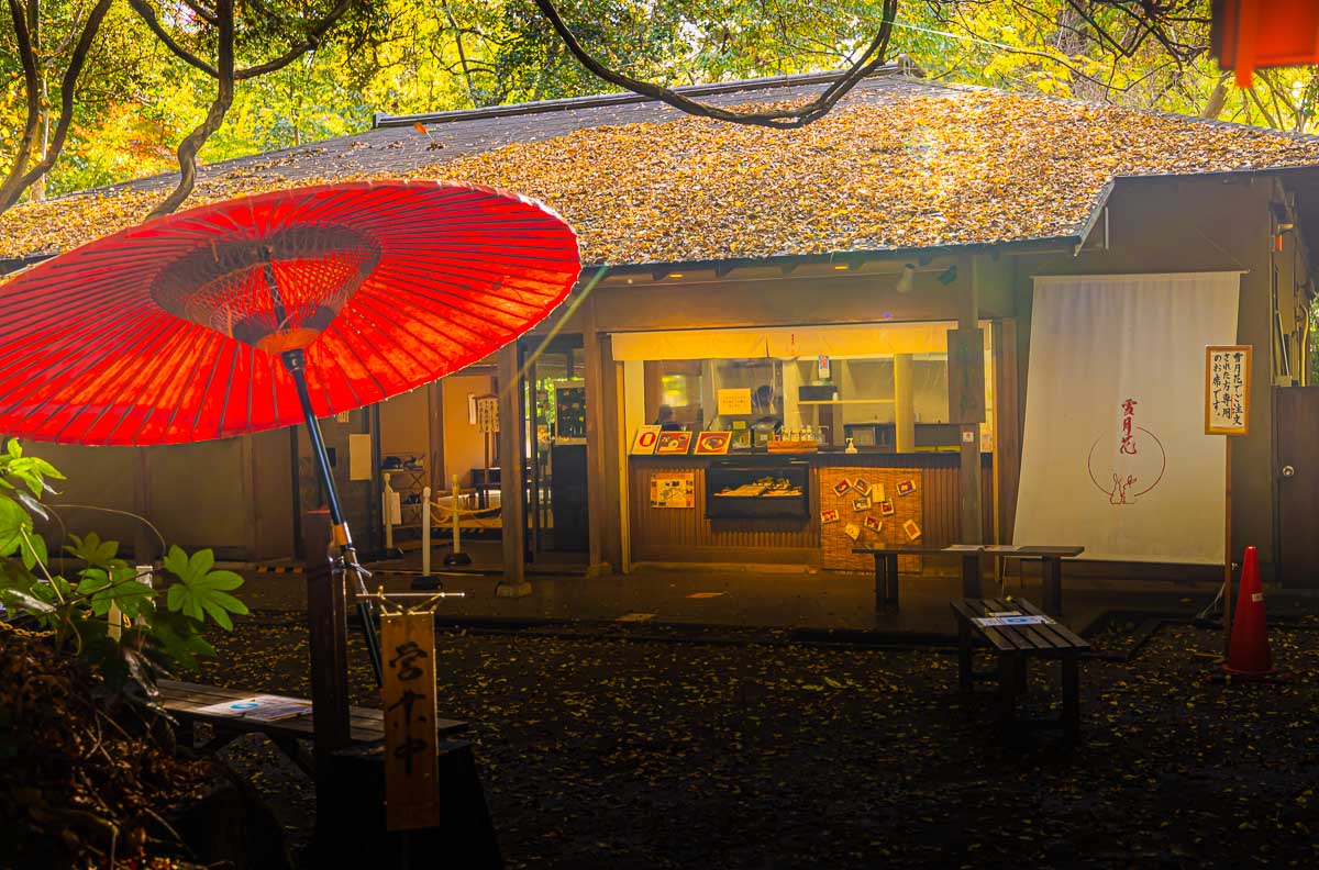 Todoroki Valley is the only Hiking spot in Tokyo