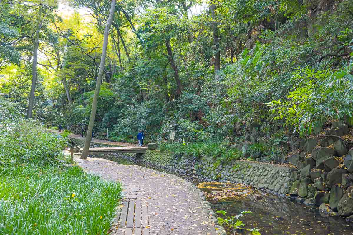 Todoroki Valley is the only Hiking spot in Tokyo