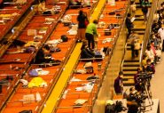 Tokyo Sumo And Sumo Tickets A Full Guide Tokyo Sumo And Sumo Tickets A Full Guide