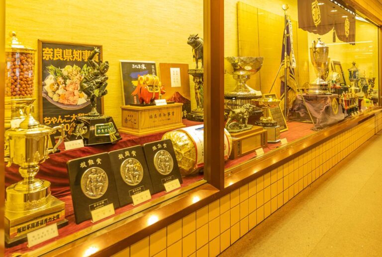 Tokyo Sumo and sumo Tickets A Full Guide