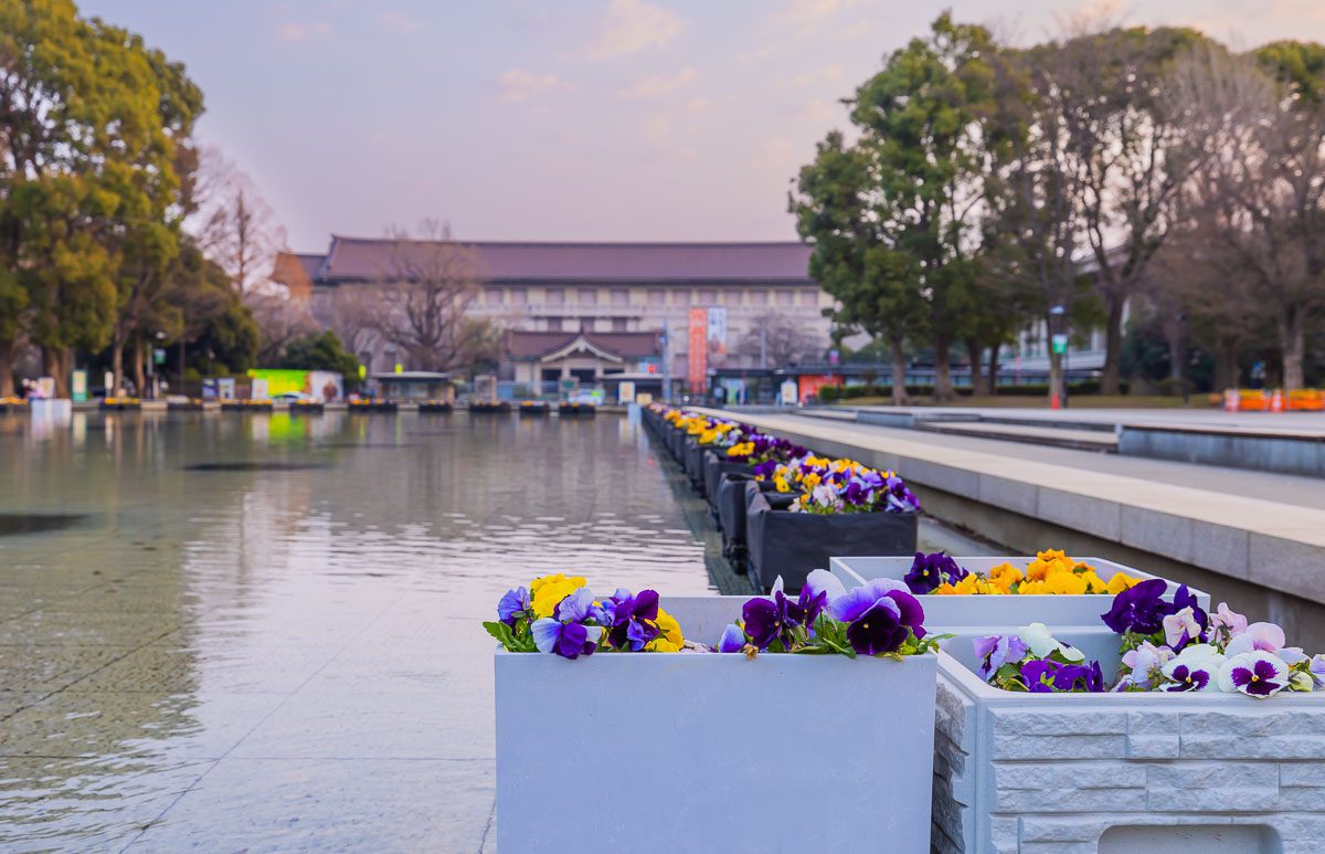 What you should know about Ueno Park?