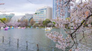 Fall in Love with Ueno Park any season, Autumn or Spring