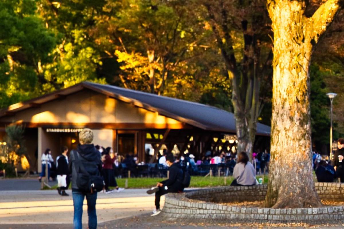 What you should know about Ueno Park?
