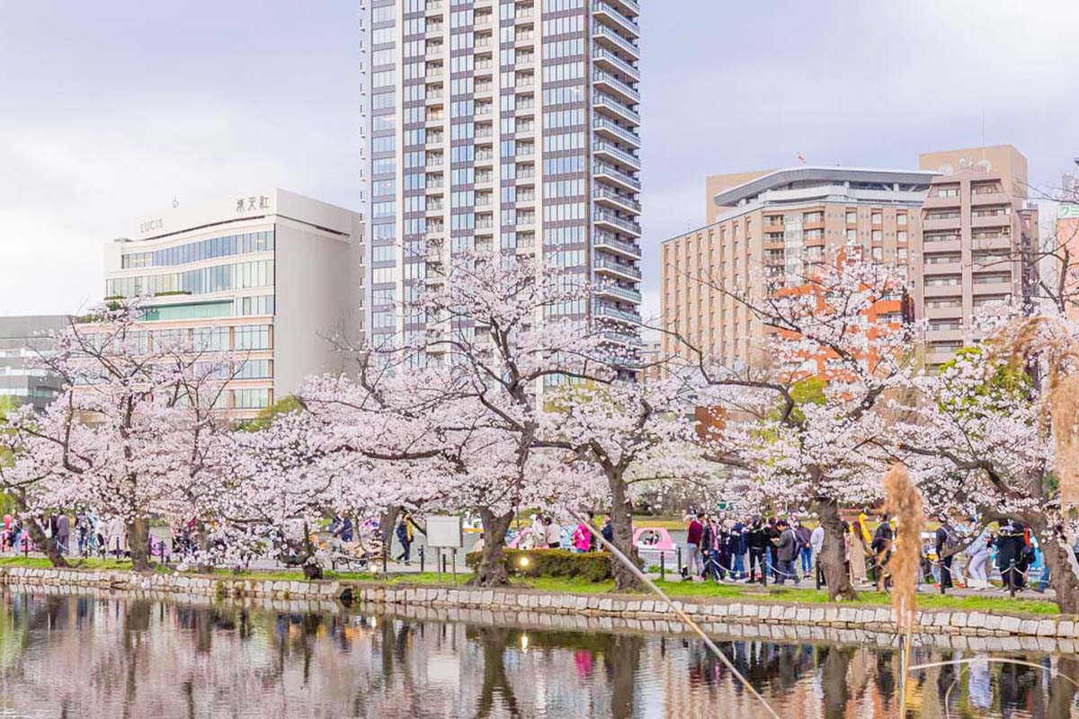 Row, Pedal, and Glide Across the Picturesque Shinobazu Pond
