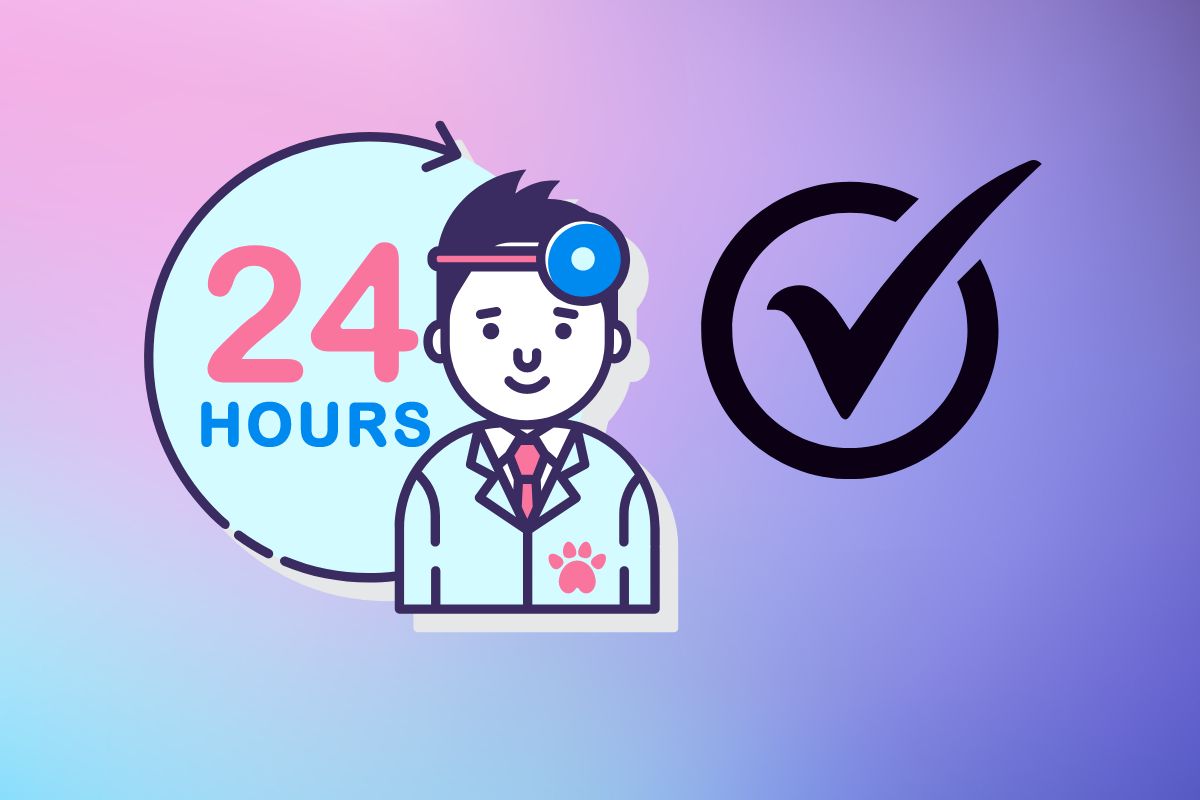 Ultimate Guide to the Tokyo One Day Pass