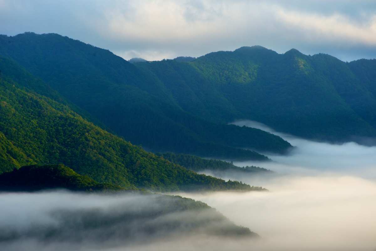 Ultimate Guide to Taking a Bus from Tokyo to Mount Fuji