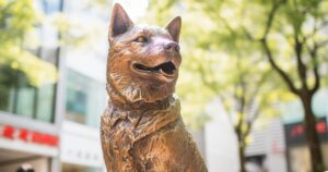 Hachiko Statue in Shibuya is a Famous tourist Attraction