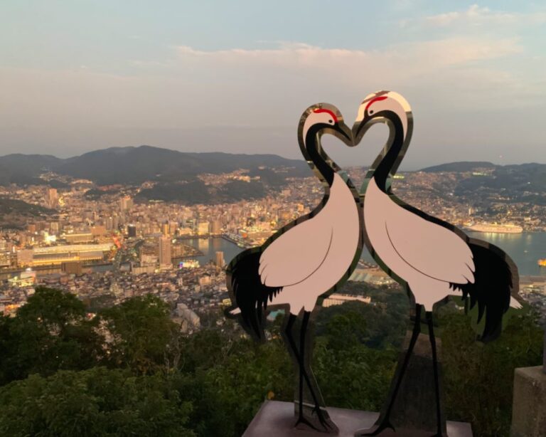 Full Guide of Inasayama Observatory and Ropeway