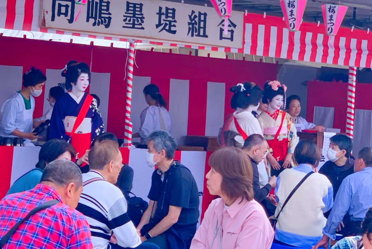 See Geishas for Free at Sumida Park Cherry Blossom Festival