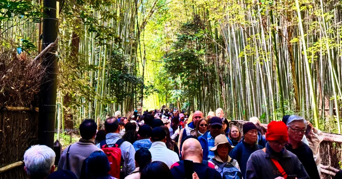 How to Get from Kyoto to Arashiyama Bamboo Forest (2026 Travel Guide)